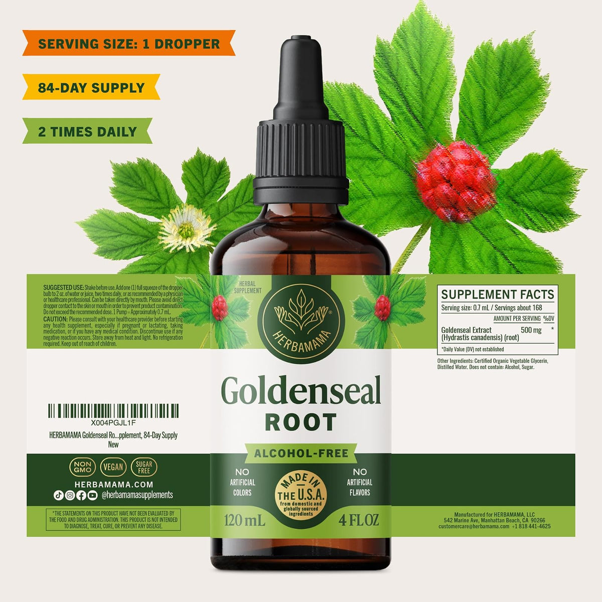 Goldenseal tincture for respiratory health