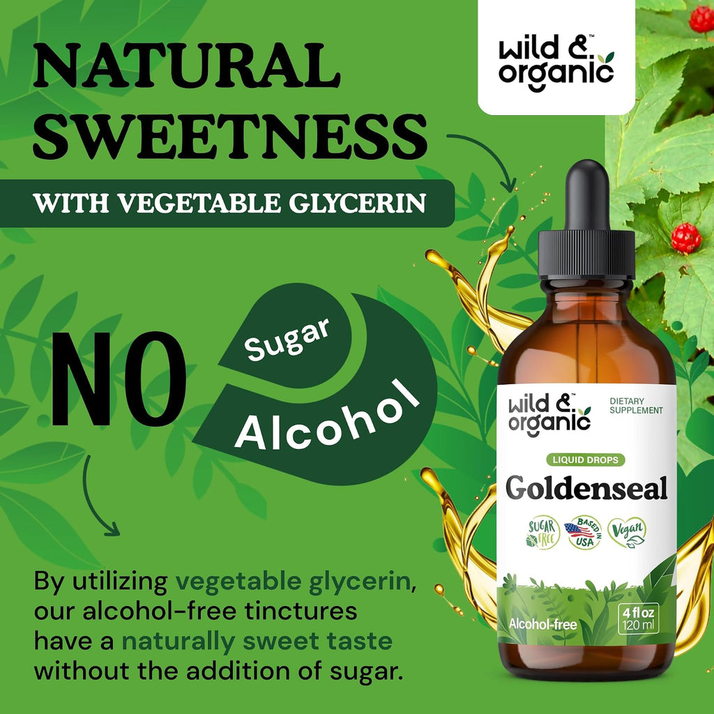 Goldenseal tincture for respiratory wellness