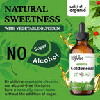 Goldenseal tincture for respiratory wellness