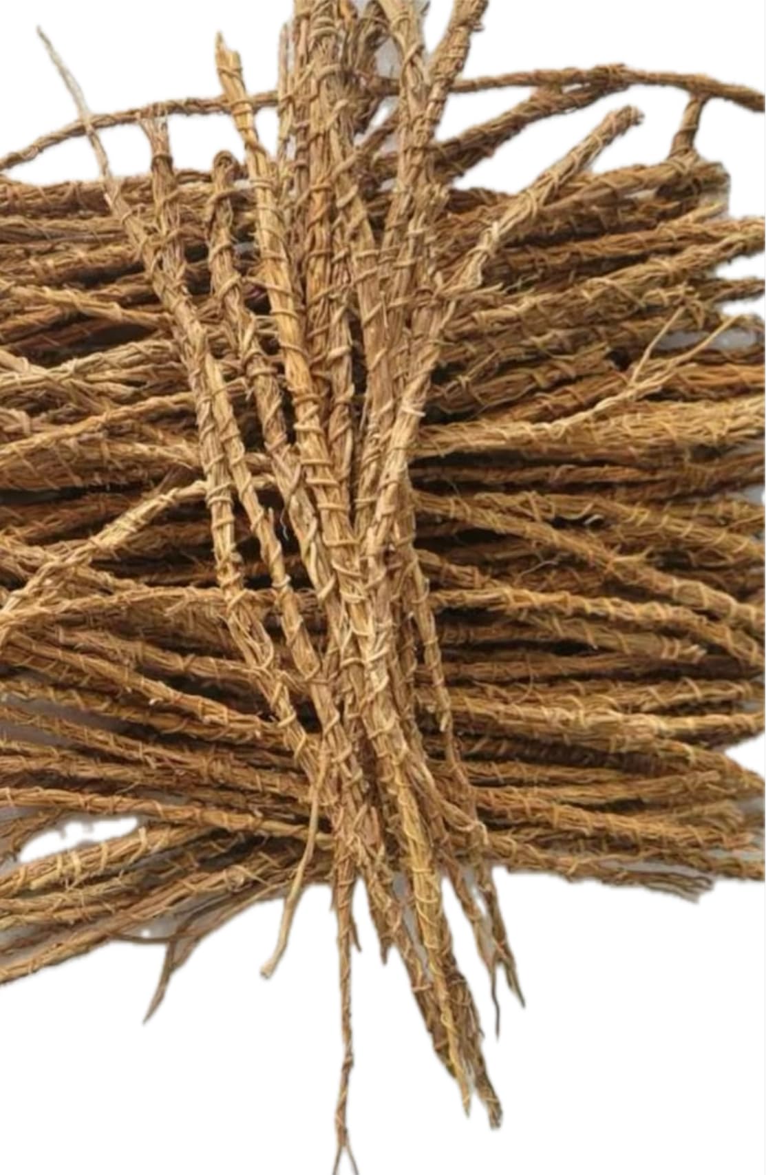 Gongonli stems for natural wellness