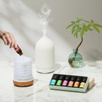 Gooamp diffuser blends for aromatherapy
