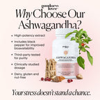 Goodness Lover adaptogenic herbal remedy