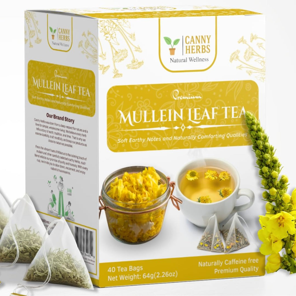 Gordolobo mullein leaf tea benefits