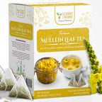 Gordolobo mullein leaf tea benefits