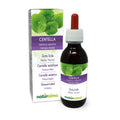 gotu kola alcohol-free tincture