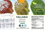 Gotu Kola capsules for brain health