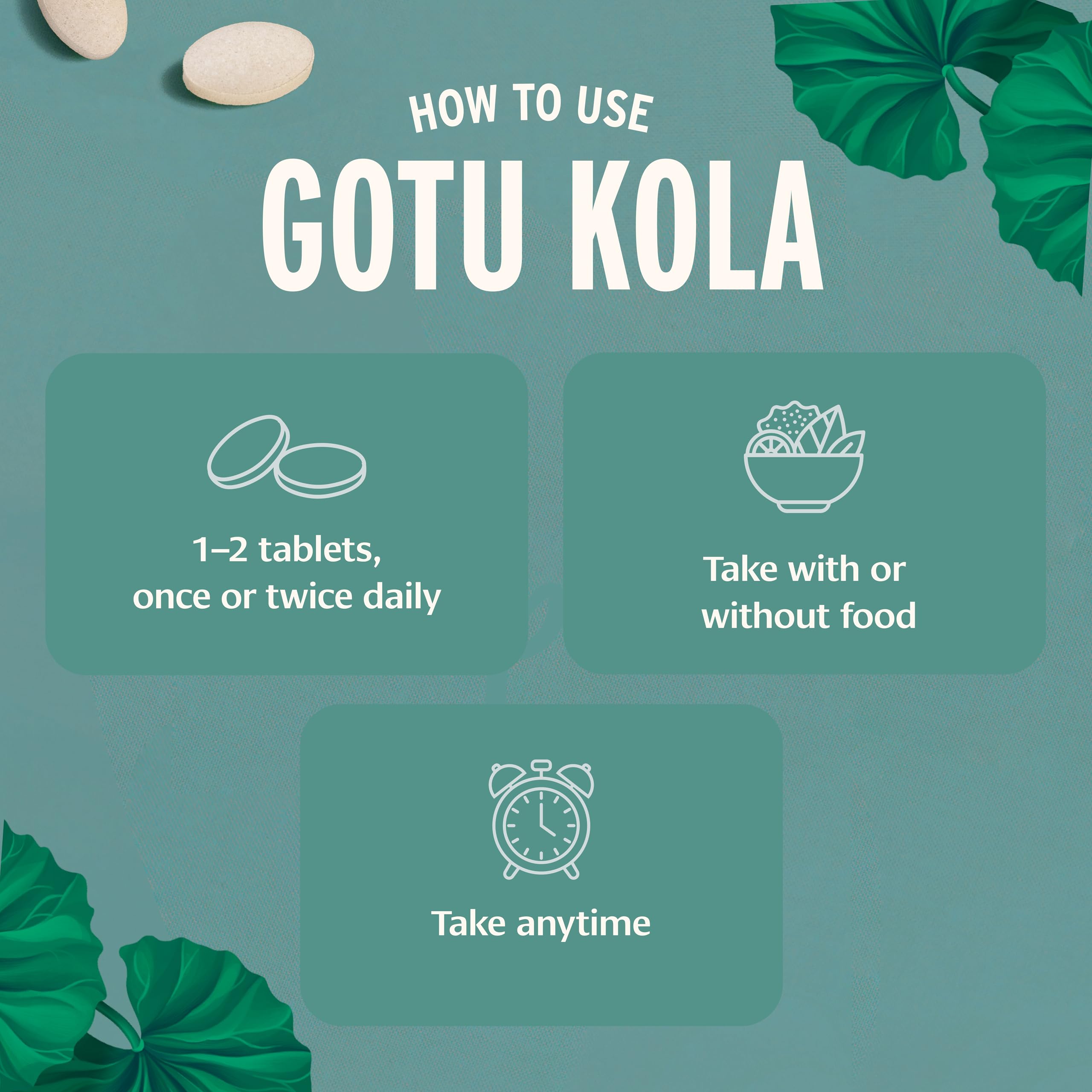 gotu kola extract for enhanced focus