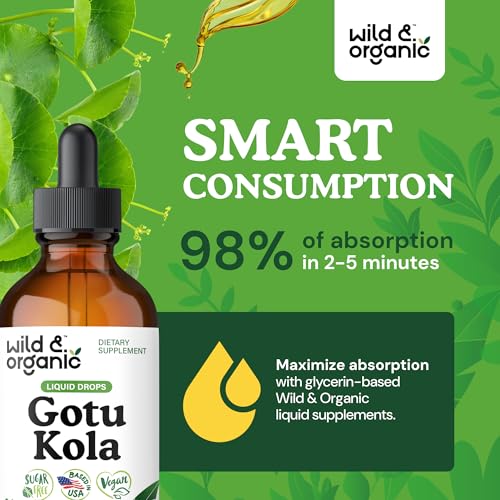 gotu kola extract for improved memory