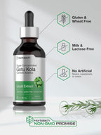 Gotu Kola for cognitive support
