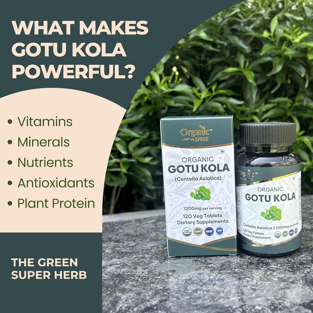 gotu kola for stress relief
