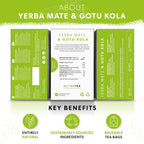 Gotu kola infused herbal tea
