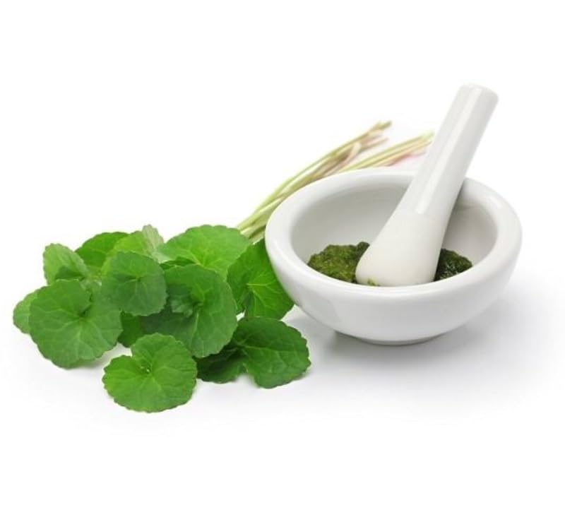gotu kola powder for skin health