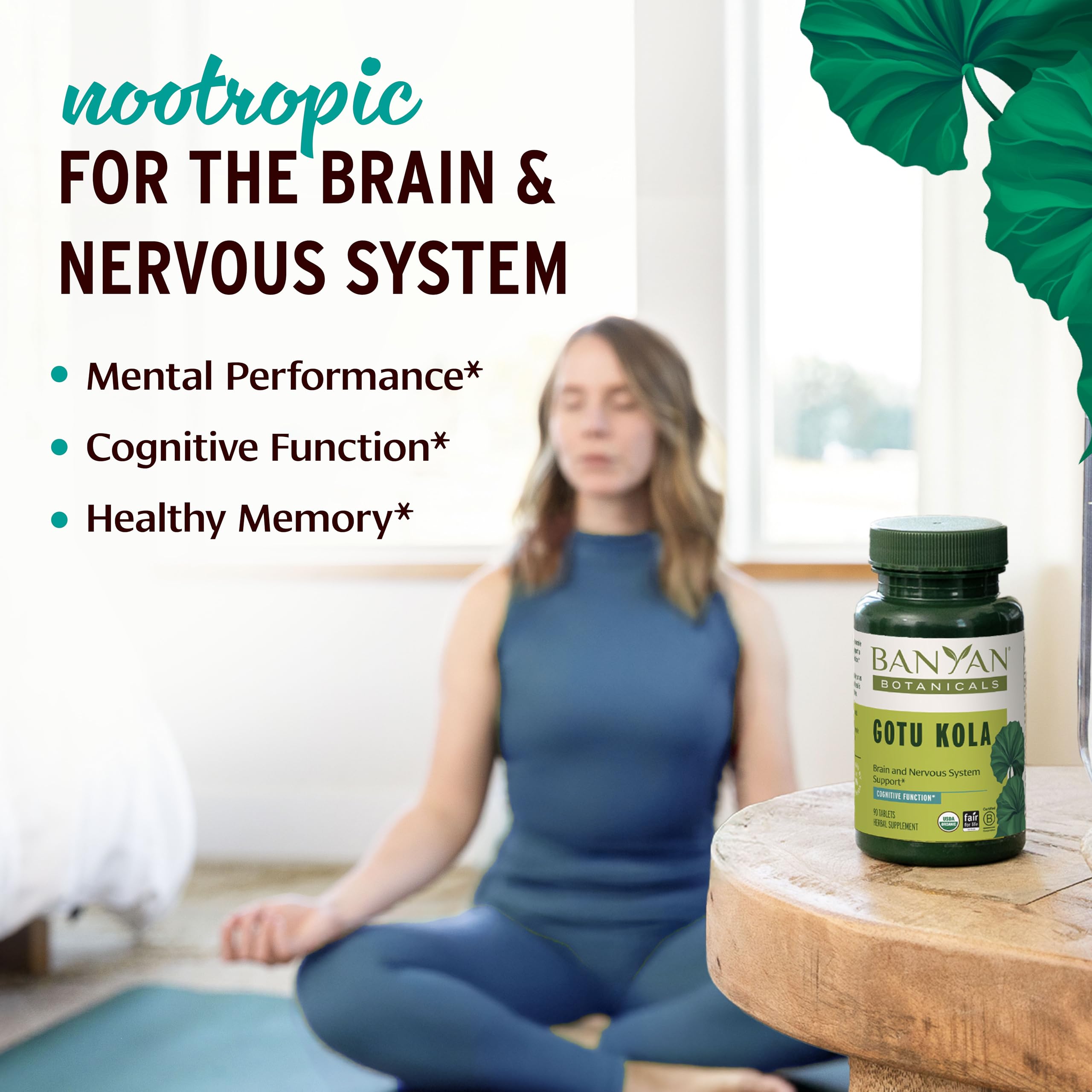 gotu kola tablets for memory support