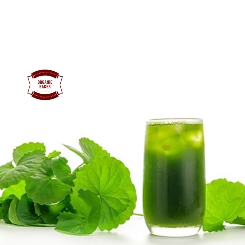 gotu kola tea for wellness