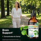Gotu Kola tincture for skin health