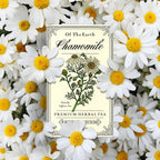 gourmet chamomile tea for relaxation