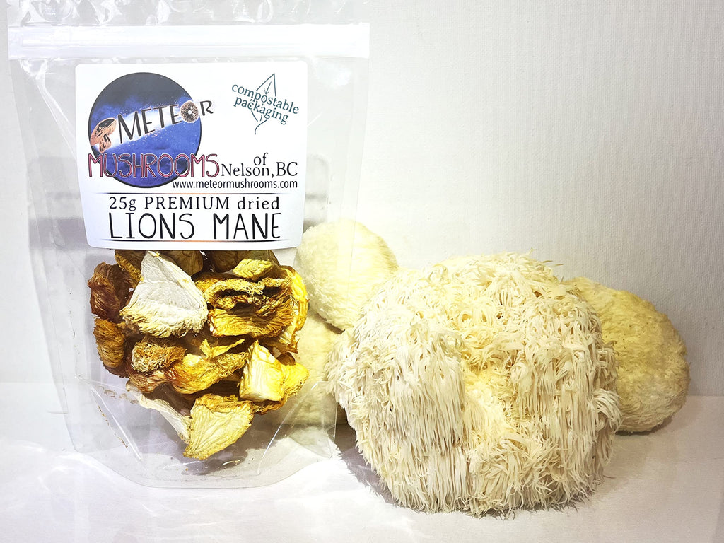 gourmet cooking with premium mushrooms