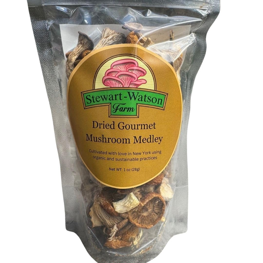 gourmet dehydrated oyster mushrooms
