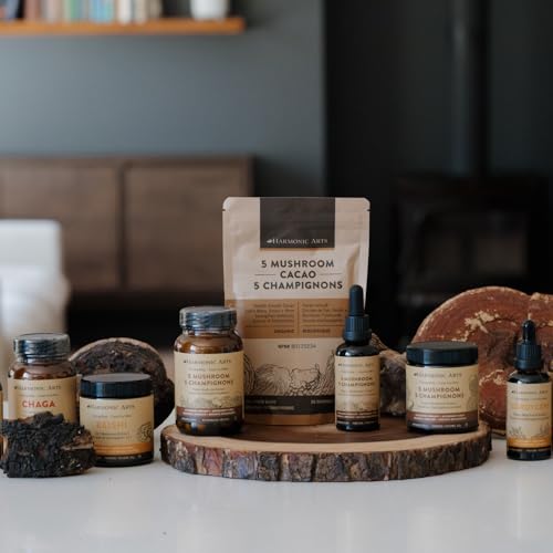 gourmet mushroom cacao experience