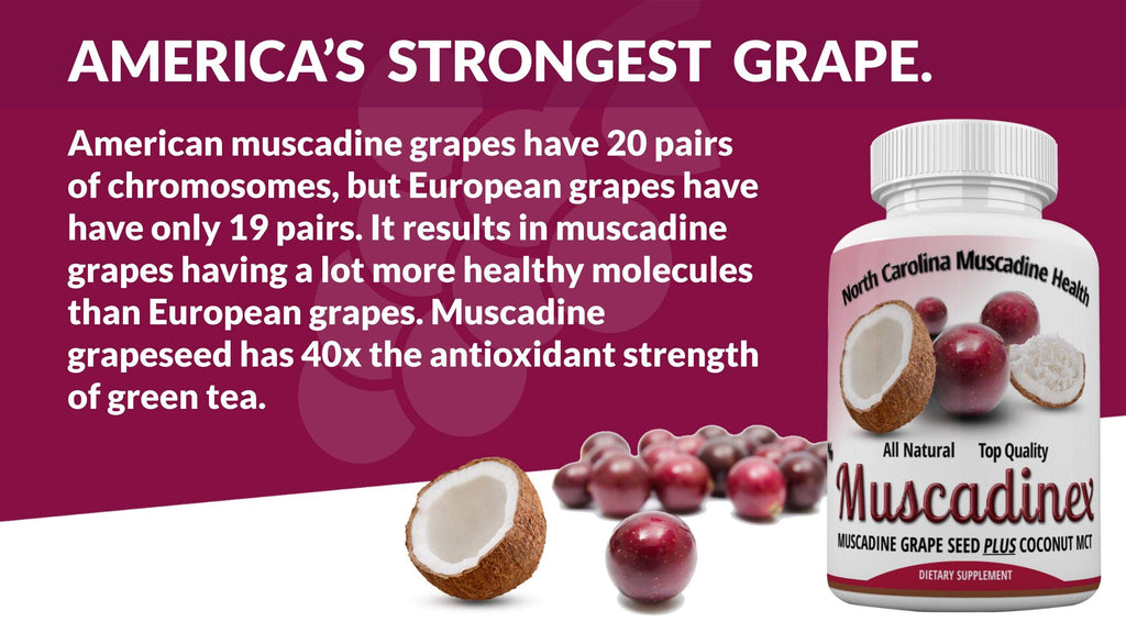 grape seed extract 1000mg capsules