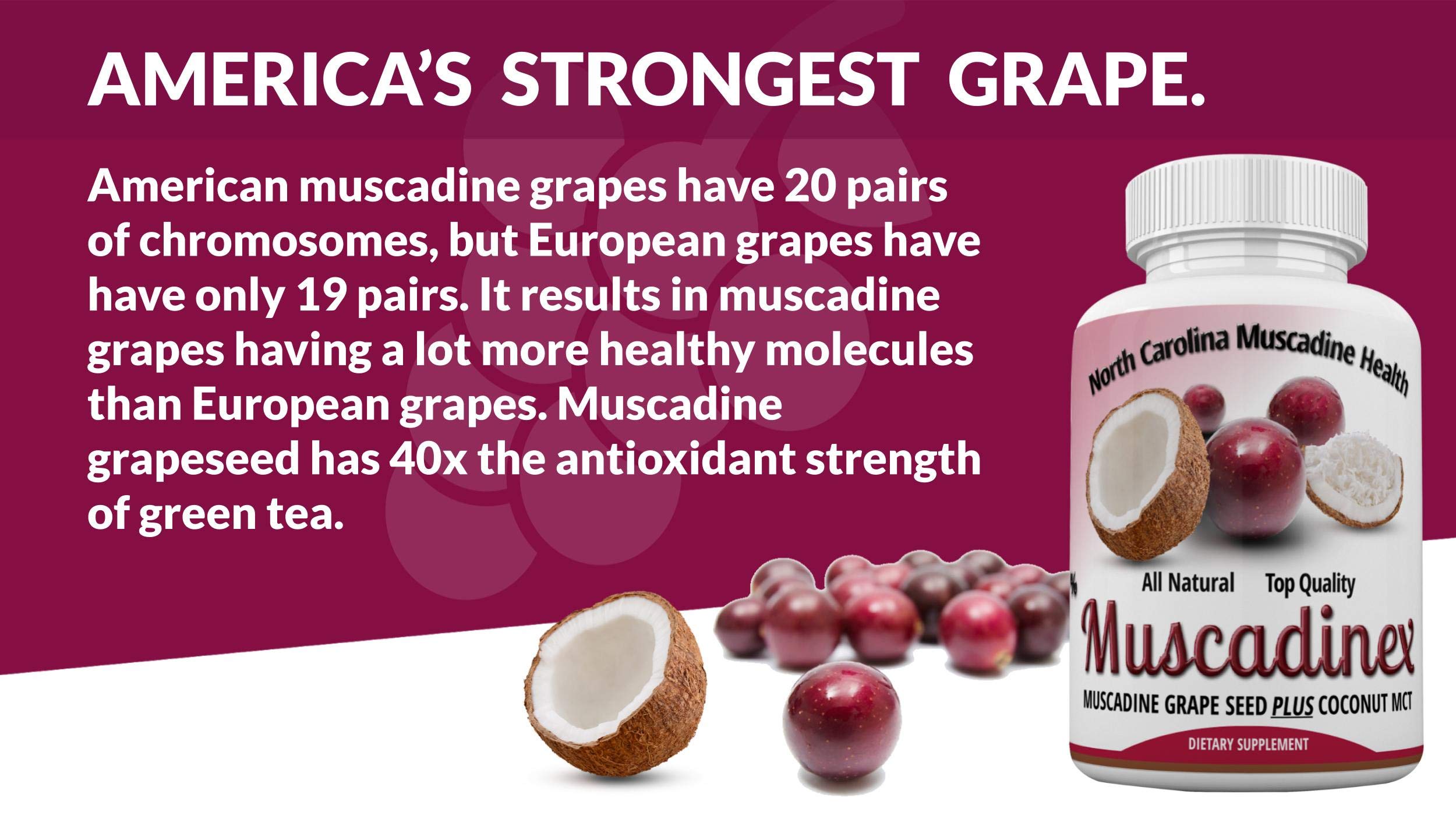 grape seed extract 1000mg capsules