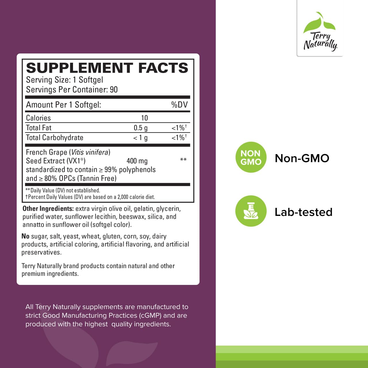 grape seed extract antioxidant support