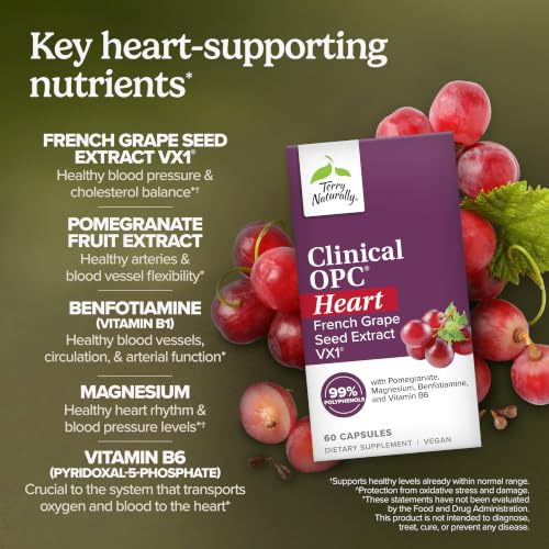 Grape seed extract for blood pressure support