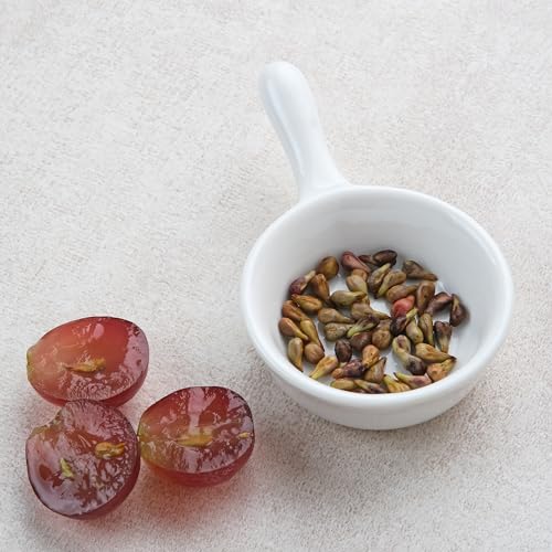 grape seed extract for blood pressure