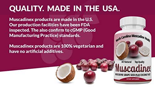 grape seed extract for daily health