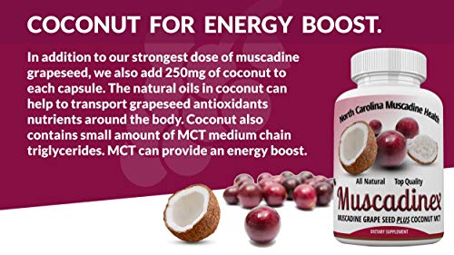 grape seed extract for healthy aging