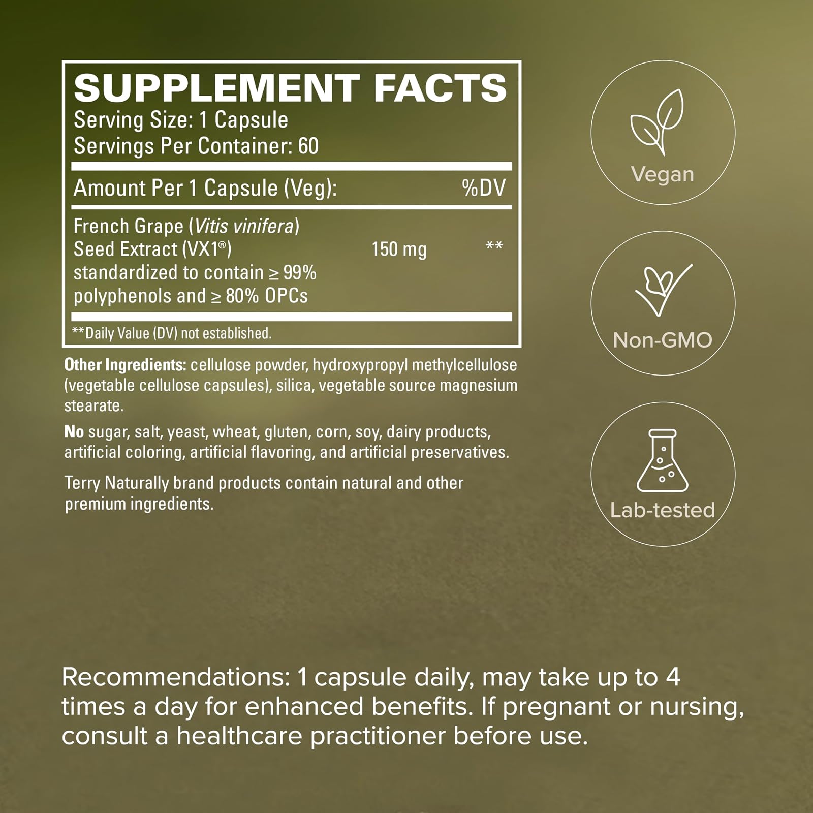 Grape seed extract for healthy circulation