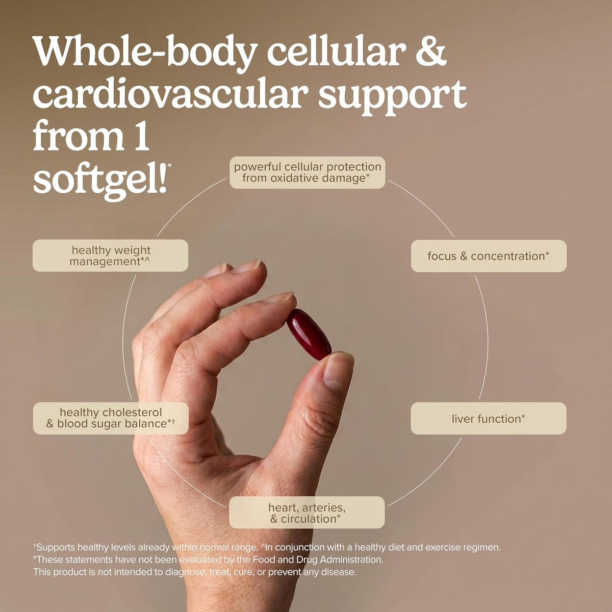 Grape seed extract for heart health