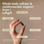 Grape seed extract for heart health