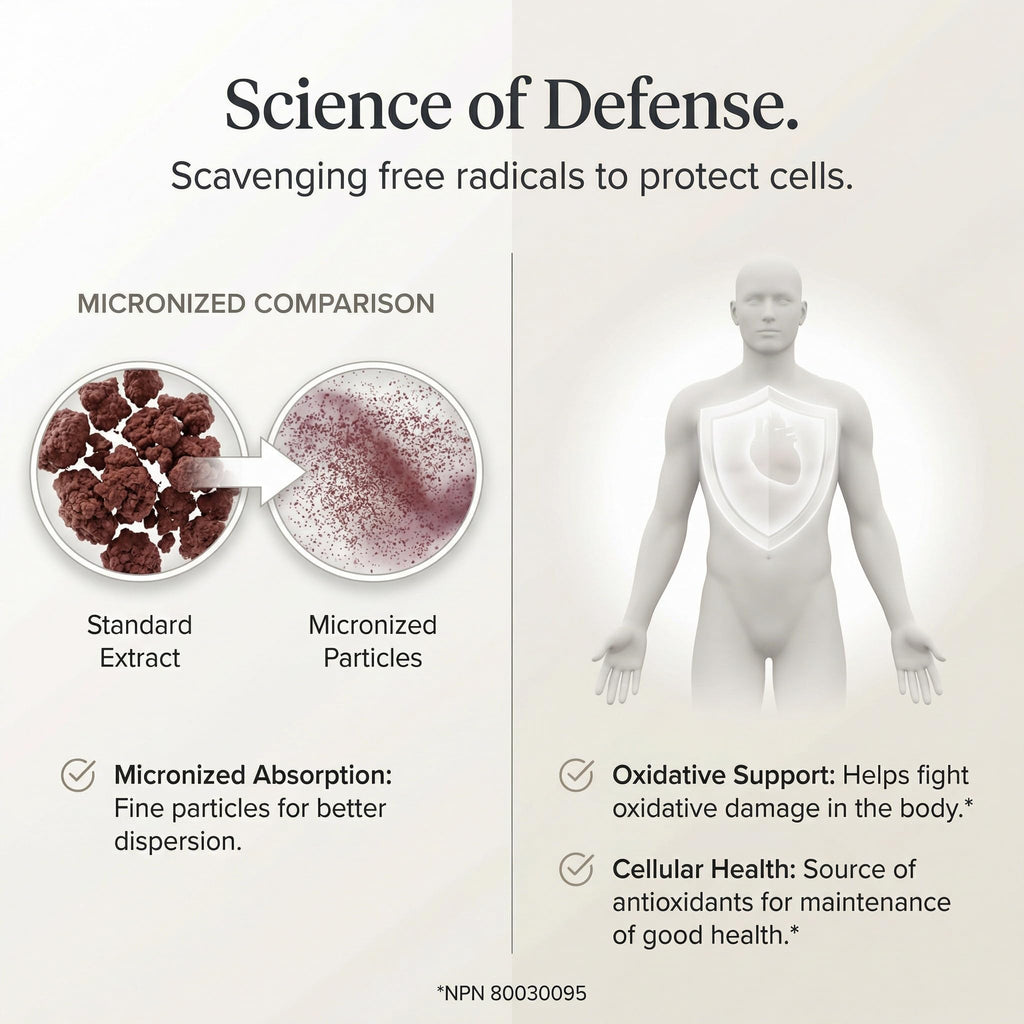 grape seed extract for overall wellness
