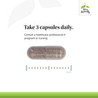 Grape seed extract immune booster