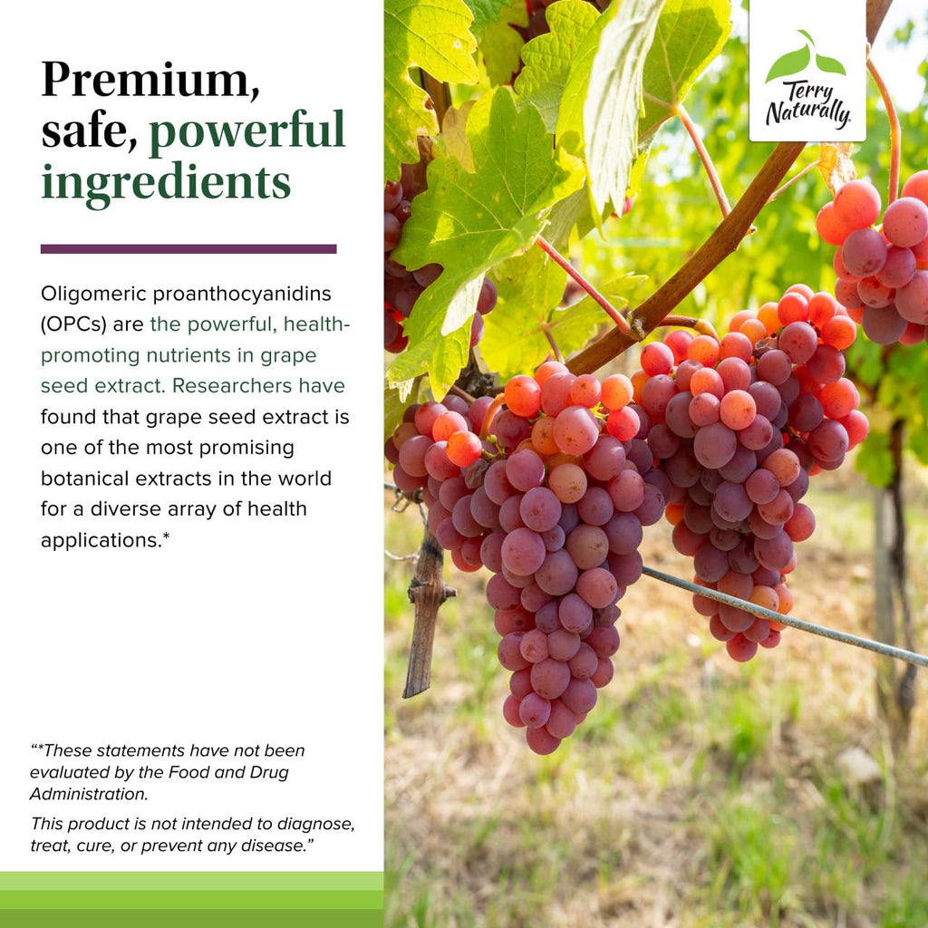 grape seed extract immune support