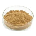 grape seed extract natural antioxidant