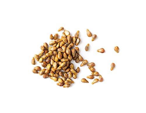 Grape seed extract powder for wellness