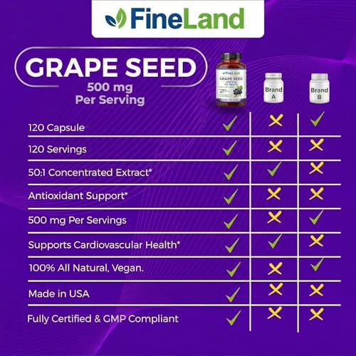 grape seed extract rich in antioxidants