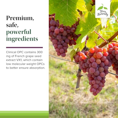 grape seed extract side effects and safety