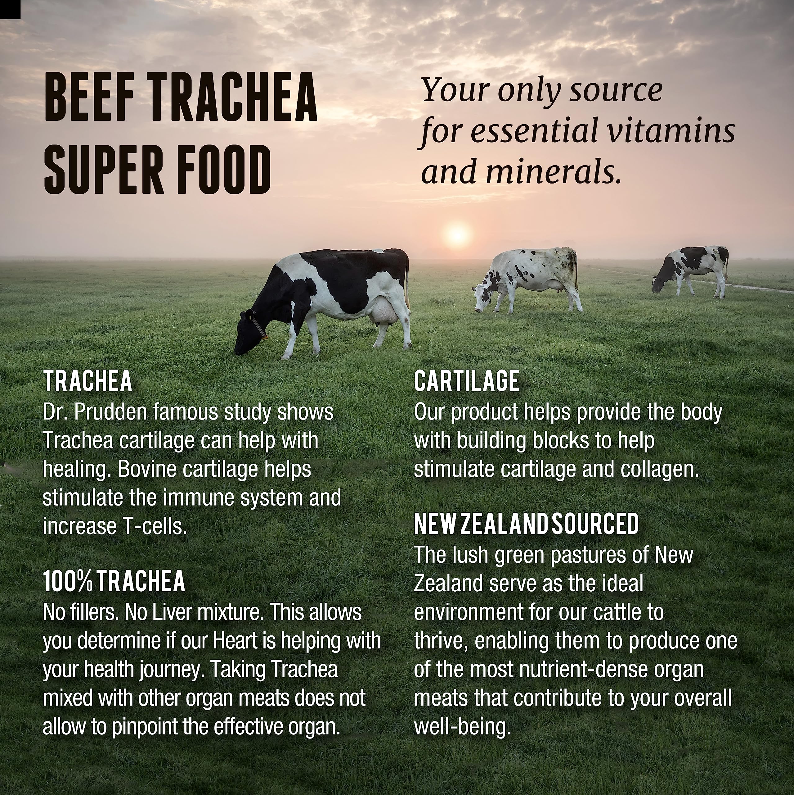 grass fed beef for optimal nutrition