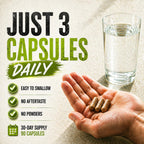 grass fed beef organ supplement benefits