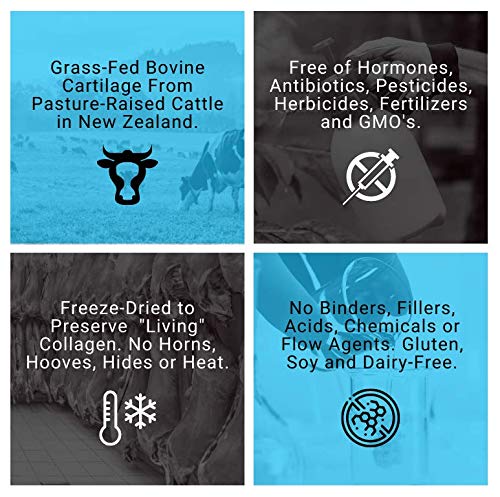 grass fed collagen for skin health