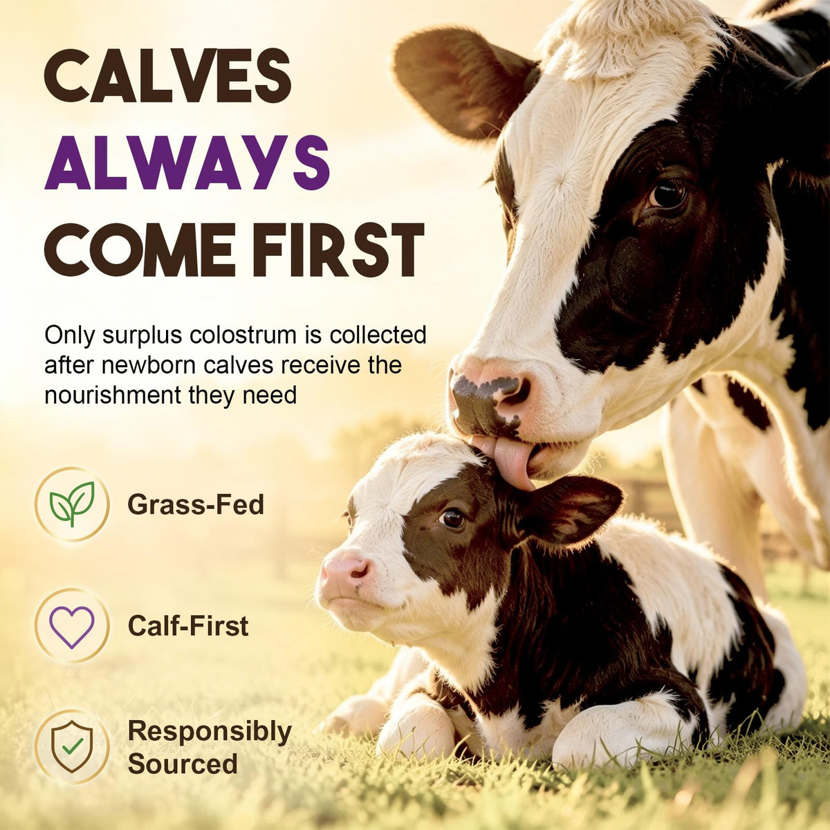 Grass-fed colostrum for gut health