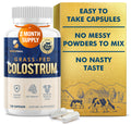 grass fed colostrum supplement capsules