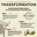 grass fed liver for optimal health