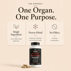 grassfed beef liver for energy support