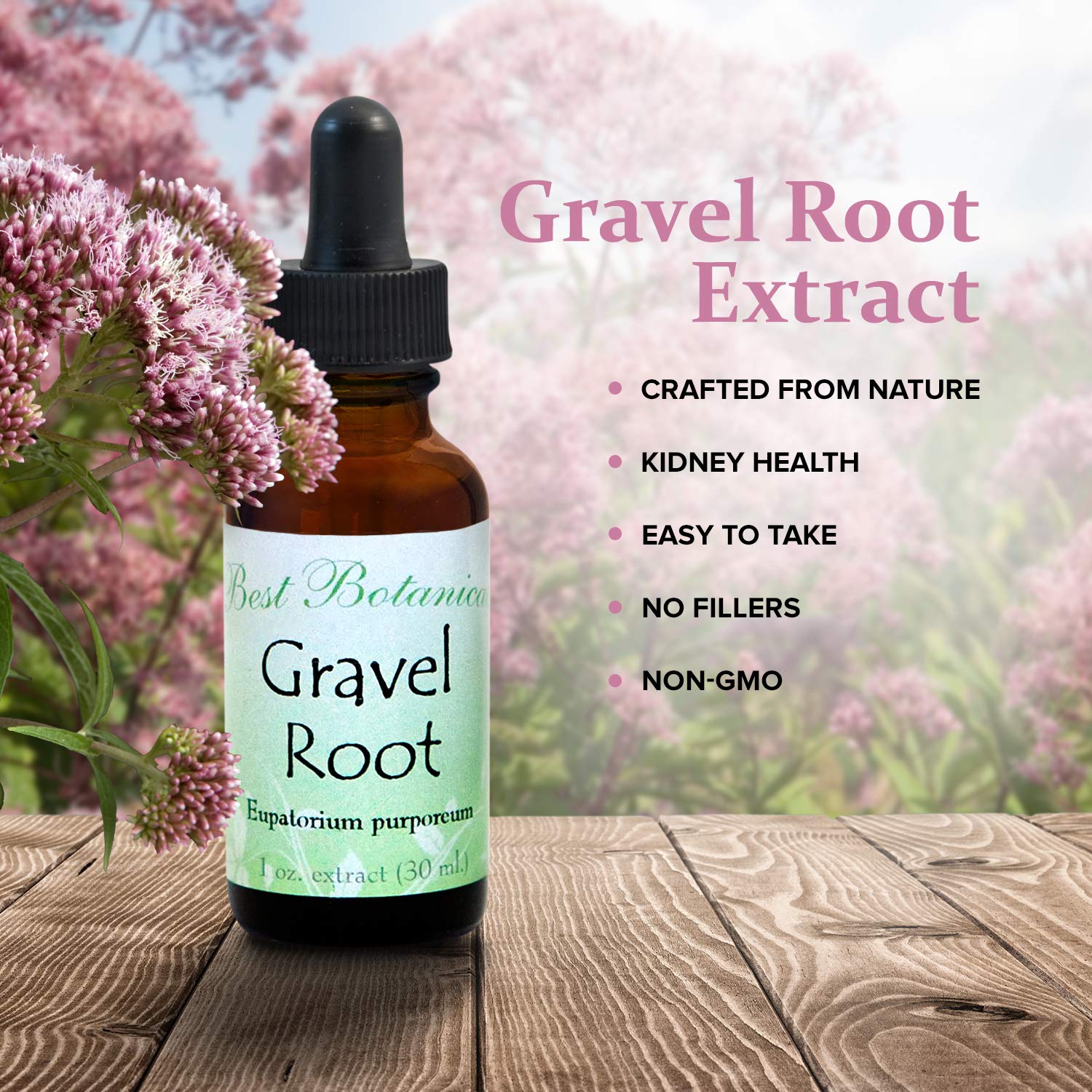 gravel root extract for urinary support
