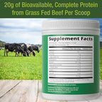 great alternative to whey protein