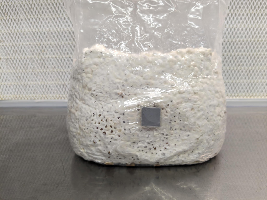 great for home mushroom growers